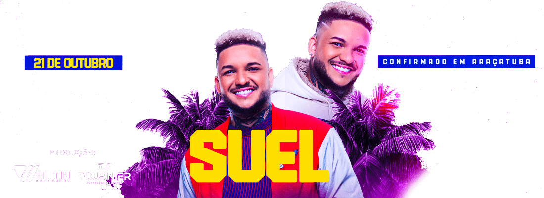 Suel - Guiche Web