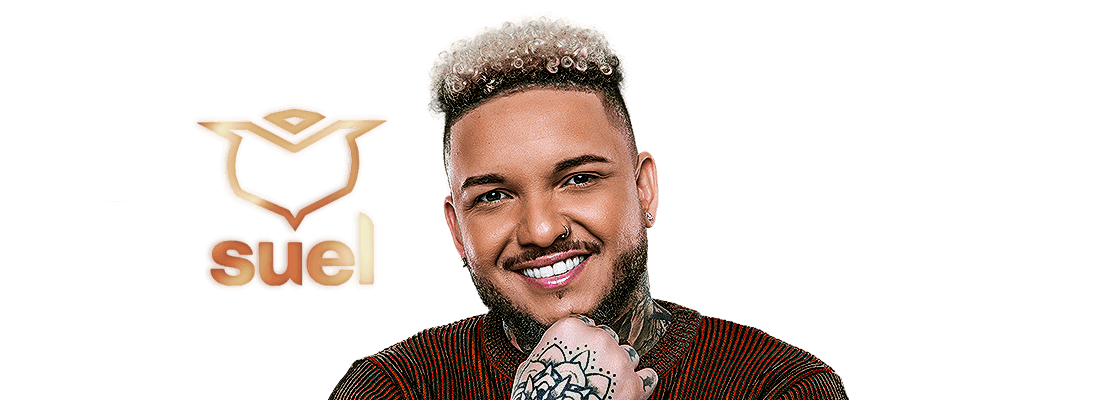 Suel na Zen - Guiche Web