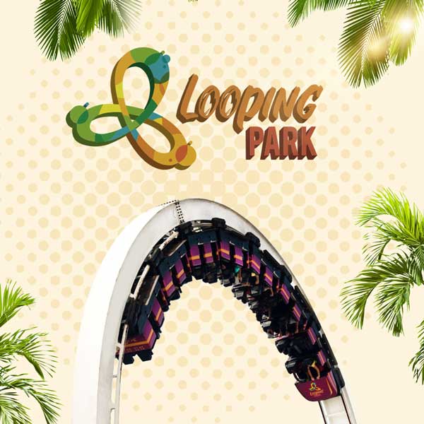 Looping Park - Guiche Web